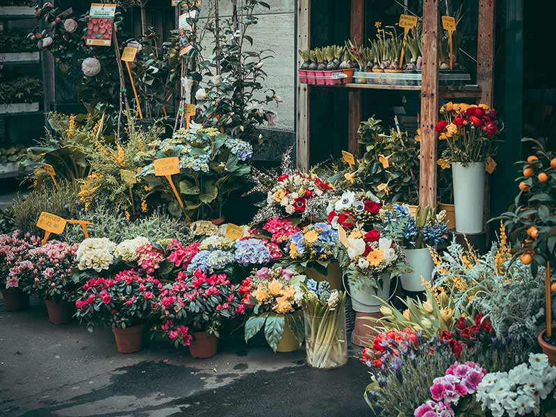 The Flower Room - Ticketcode - Te hacemos la vida fácil